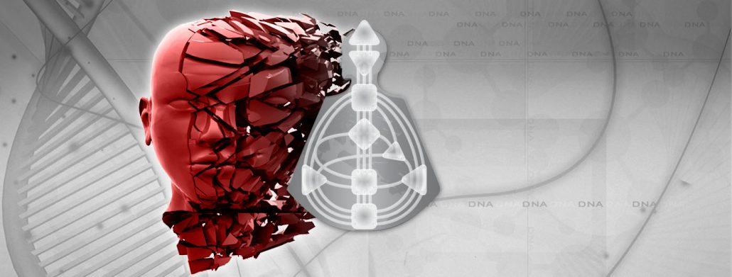 Human Design Angebote: Wähle dein individuelles Programm - Primary ...