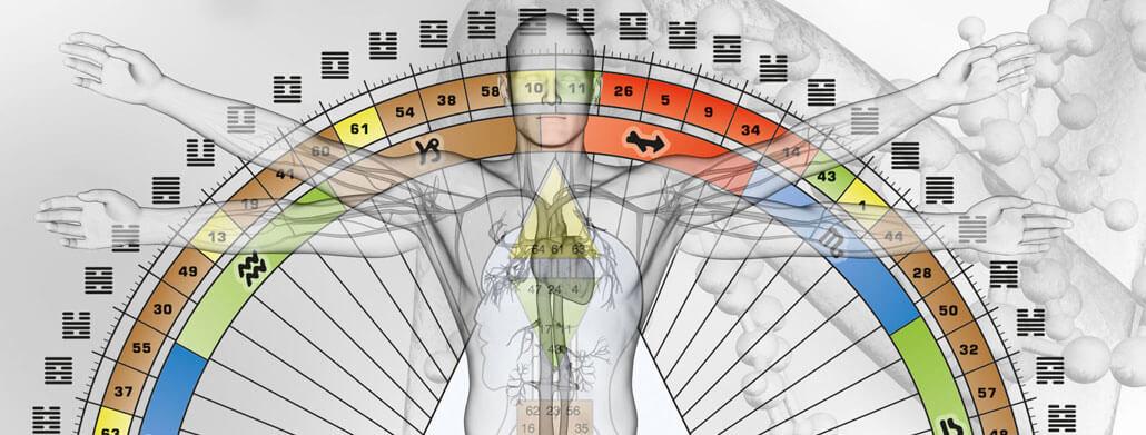 Human Design Angebote: Wähle dein individuelles Programm - Rave Anatomie